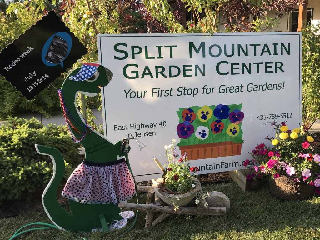 Dinah Decorating Contest – Vernal's Dinosaur Roundup Rodeo